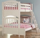 Pulaski Pawsitively Yours Bunk Bed Twin Over Twin - 634154-634155 ...