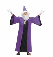 wizard costume, adult wizard costume, halloween wizard costume