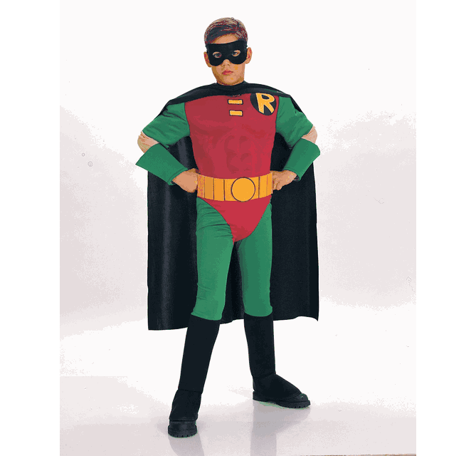 Robin Superhero Costume Boys