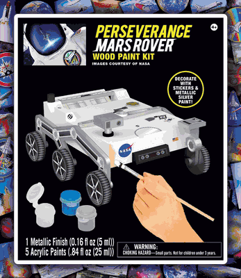 NASA Mars Rover Wood Paint Kit