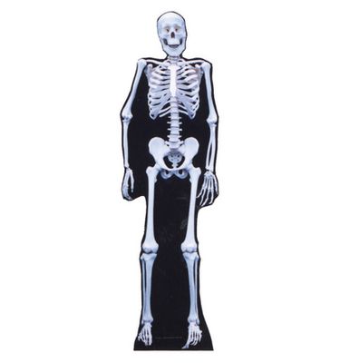 Skeleton Cardboard Cutout - Future Memories
