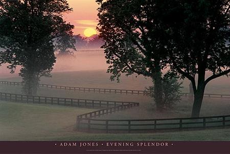 Adam Jones Open Edition Print:"Evening Splendor" - Adam Jones