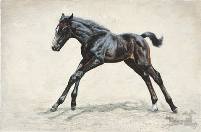 Adeline Halverson Limited Editions :"LEAPS AND BOUNDS" - Adeline Halvorson