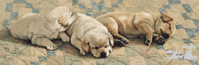 Adeline Halverson Limited Editions :"NAP TIME" - Adeline Halvorson