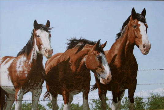 Adeline Halvorson Handsigned and Numbered Limited Edition: "Gentlemen's ...