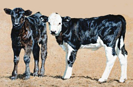 Adeline Halvorson Handsigned and Numbered Limited Edition: "Innocence ...