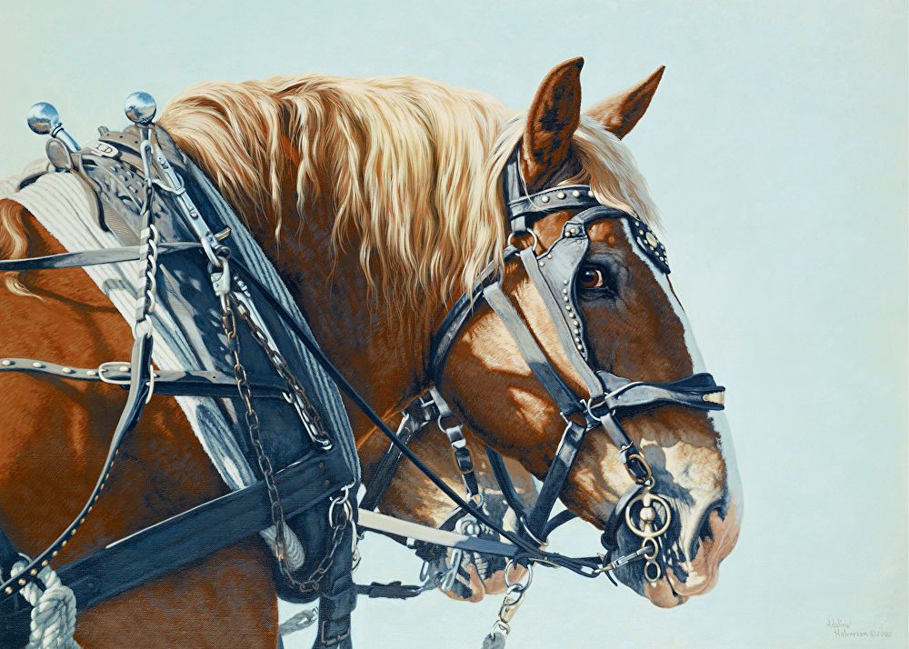 Adeline Halvorson Handsigned and Numbered Limited Edition:"The Look ...