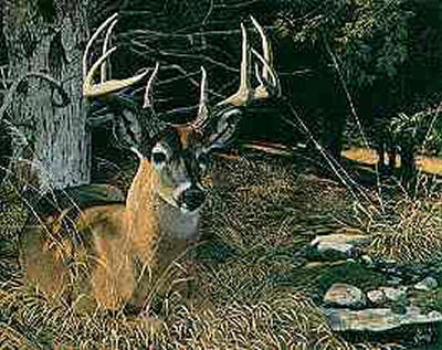 Al Agnew Artist Signed Limited Edition Print: "Southern Exposure" - Al ...