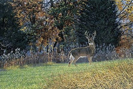 Al Agnew Open Edition Print:"Standing Tall" - Al Agnew