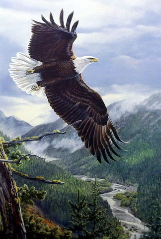 Al Agnew Print-Signed and Numbered:"Soaring Spirit" - Al Agnew
