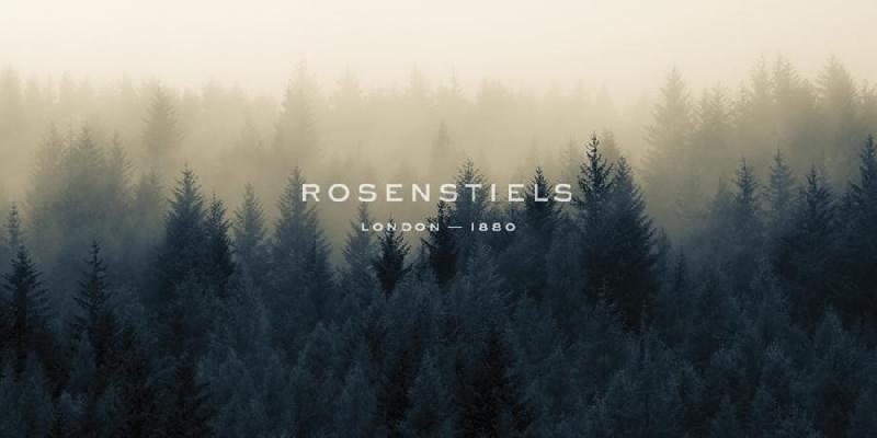 Alan Copson 48 x 24 in. Open Giclee Canvas:"Ombre Forest" - Alan Copson