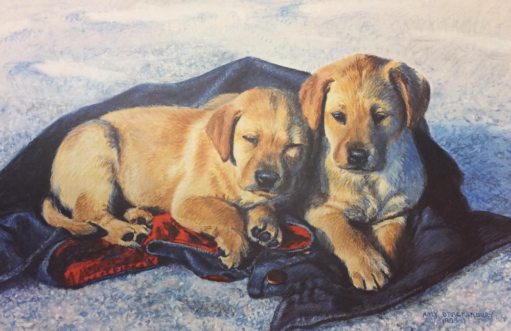 Amy Brackenbury Signed by the Artist Limited Edition Paper Lithograph ...