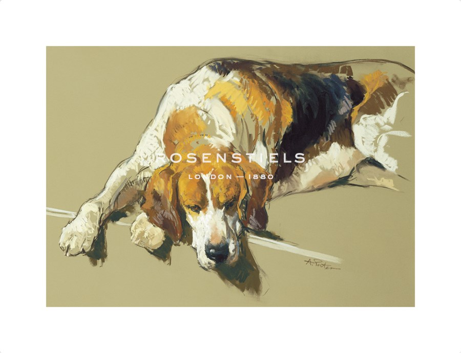 Andre Pater Hand Numbered Limited Edition Print on Paper :"Hound in a ...