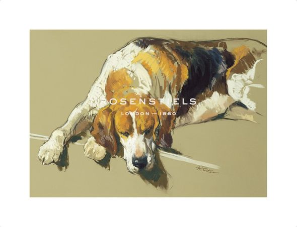 Andre Pater Hand Numbered Limited Edition Print on Paper :"Hound in a ...