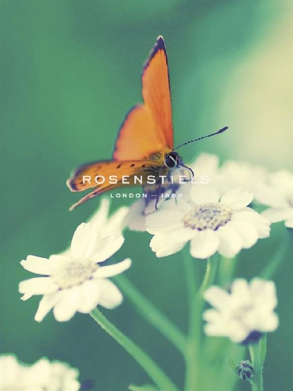 Andreas Stridsberg 30 x 40 in. Open Giclee Canvas:"Dainty" - Andreas ...