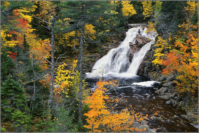 Anthony Cook Hand Signed and Numbered Limited Edition Canvas Giclee ...