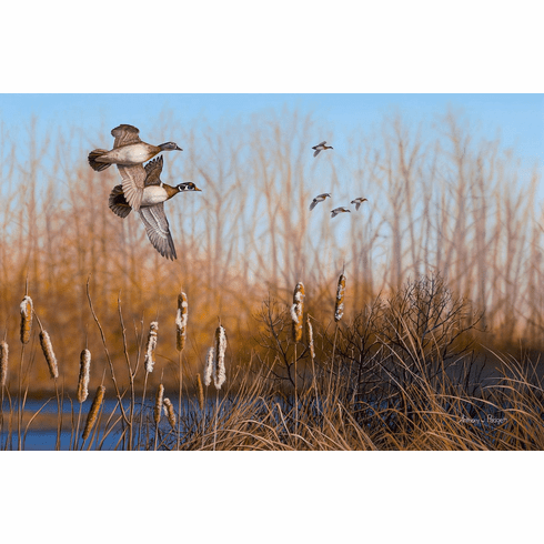 Anthony Padgett Master Artisan Hand Embellished Canvas Giclee:"Return ...