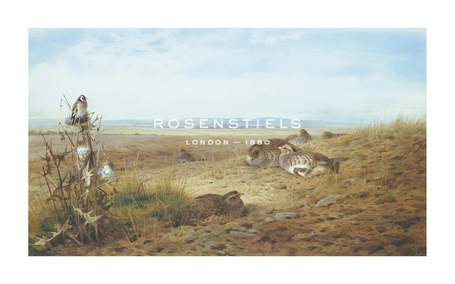 Archibald Thorburn Hand Numbered Limited Edition Print on Paper ...