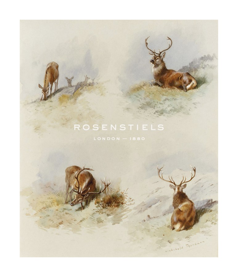 Archibald Thorburn Hand Numbered Limited Edition Print on Paper :"Study ...