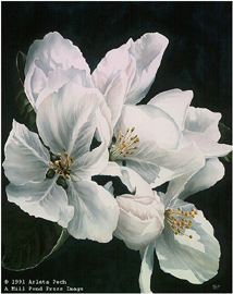 ARLETA PECH 26X20 Secondary Market Art: "FIRST TASTE SPRING" - PECH, ARLETA