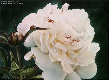 Arleta Pech Limited Edition Print:"Coming To Town" - Arleta Pech