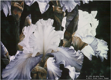 Arleta Pech Limited Edition Print:"Flirtation" - Arleta Pech