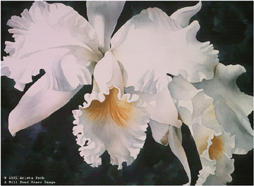 Arleta Pech Limited Edition Print:"Orchid Magic" - Arleta Pech