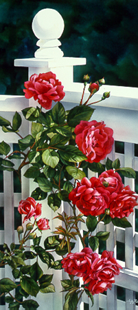 Arleta Pech Limited Edition Print:"The Rambler" - Arleta Pech