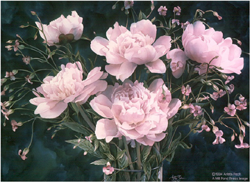 Arleta Pech Limited Edition Print:"Tickled Pink" - Arleta Pech