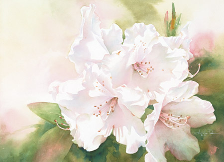 Arleta Pech Limited Edition Print:"Translucent Rhodies" - Arleta Pech