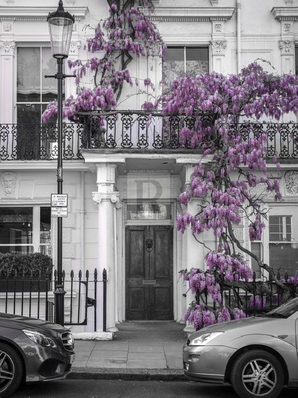 Assaf Frank 30 x 40 in. Open Giclee Canvas:"Awakening" - Assaf Frank