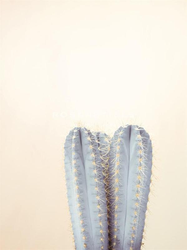 Assaf Frank 30 x 40 in. Open Giclee Canvas:"Encino" - Assaf Frank
