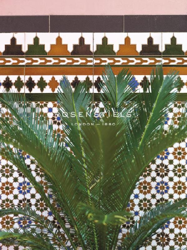 Assaf Frank 30 x 40 in. Open Giclee Canvas:"Havana Grows" - Assaf Frank