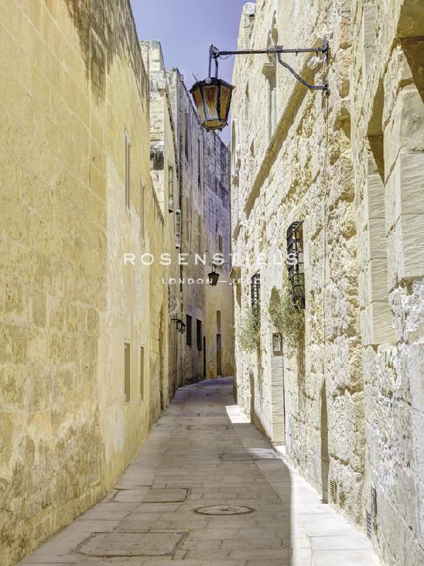 Assaf Frank 30 x 40 in. Open Giclee Canvas:"Memory Lane" - Assaf Frank