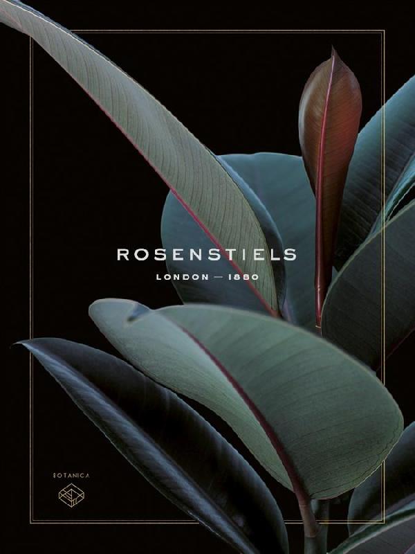 Assaf Frank 30 x 40 in. Open Giclee Canvas:"Zey Botanica" - Assaf Frank