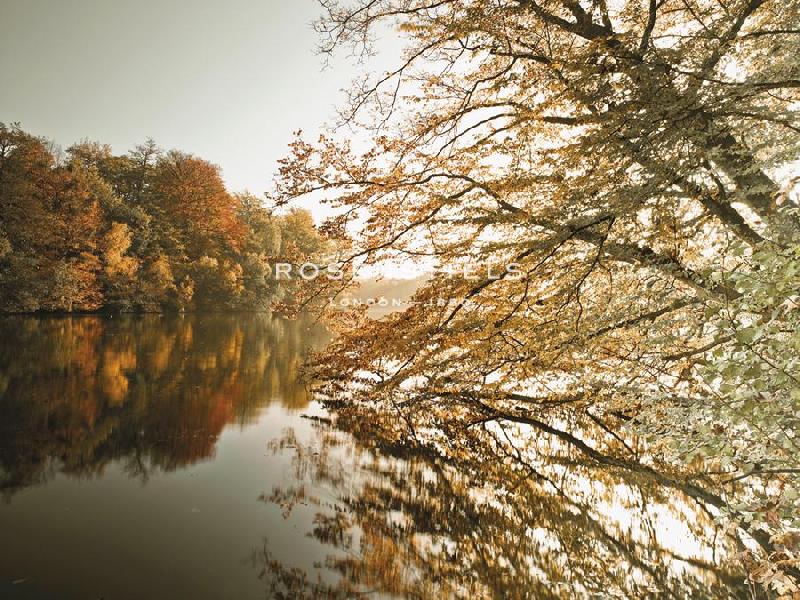 Assaf Frank 40 x 30 in. Open Giclee Canvas:"Autumnal Reflections ...