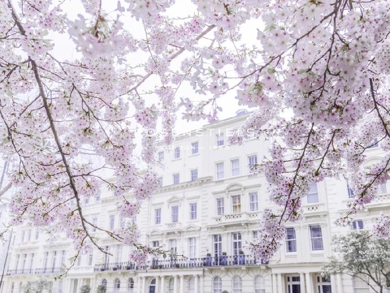 Assaf Frank 40 x 30 in. Open Giclee Canvas:"Belgravia Blooms" - Assaf Frank