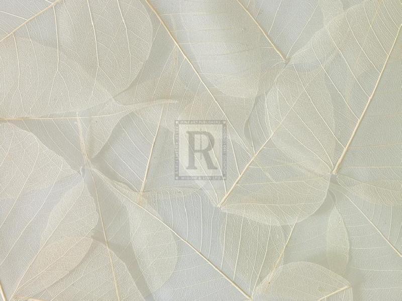 Assaf Frank 40 x 30 in. Open Giclee Canvas:"Filigree" - Assaf Frank