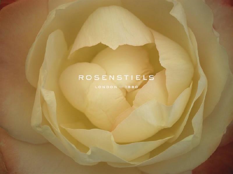 Assaf Frank 40 x 30 in. Open Giclee Canvas:"Rose Focus" - Assaf Frank