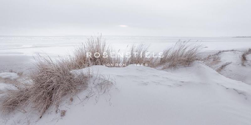 Assaf Frank 48 x 24 in. Open Giclee Canvas:"Beach Grass Meadow" - Assaf ...