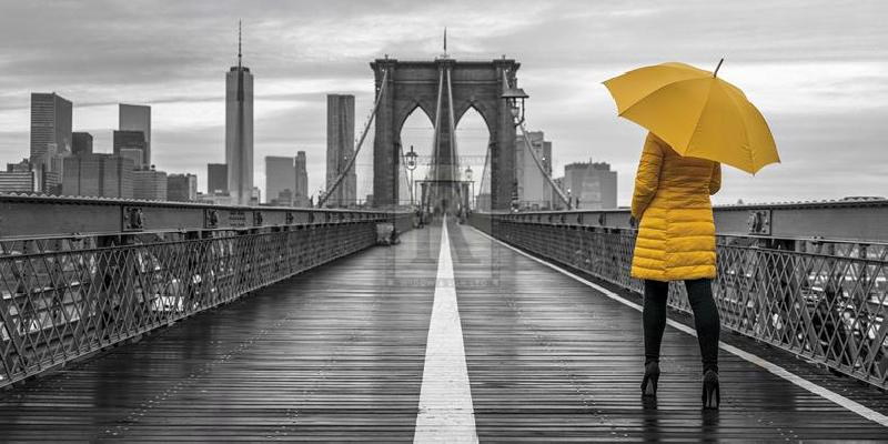 Assaf Frank 48 x 24 in. Open Giclee Canvas:"Brooklyn Spotlight" - Assaf ...