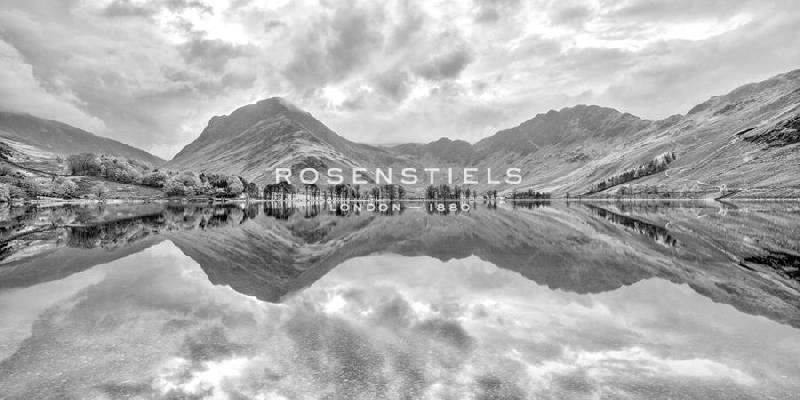Assaf Frank 48 x 24 in. Open Giclee Canvas:"Mirrored Nature" - Assaf Frank