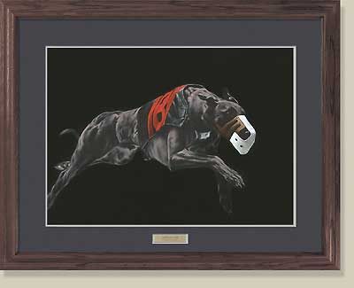 Brett Longley Framed Handsigned & Numbered Limited Edition Print ...