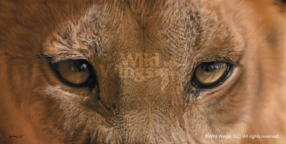 Brett Longley Handsigned and Numbered Limited Edition Print: "Lion Eyes ...