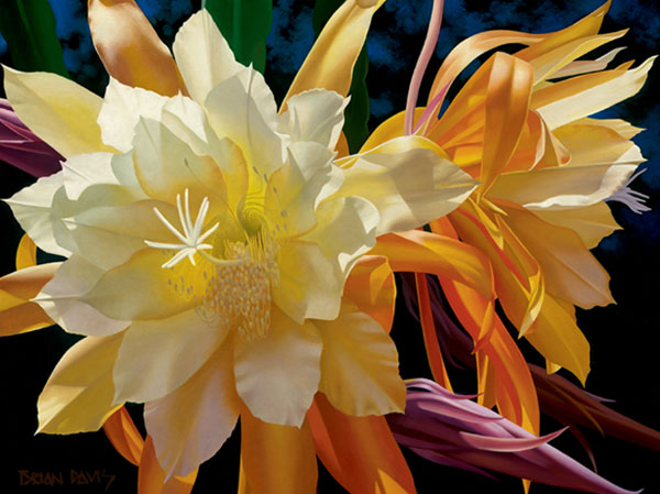 Brian Davis Handsigned and Numbered Limited Edition Giclee on Canvas ...