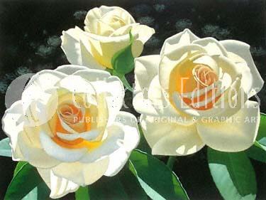 Brian Davis Limited Edition Giclee on Canvas:"Rose in the Shadows ...