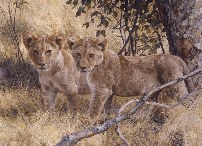 Carl Brenders Artist Signed Limited Edition Canvas Giclee: "Young ...
