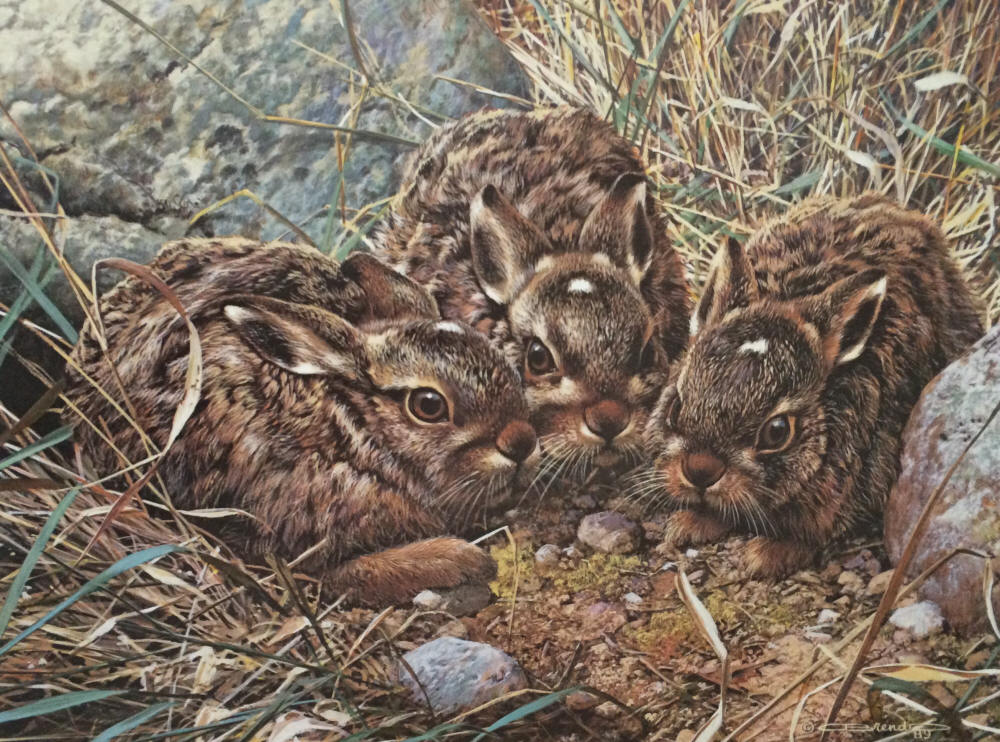 Carl Brenders Signed by the Artist Limited Edition Paper Lithograph ...