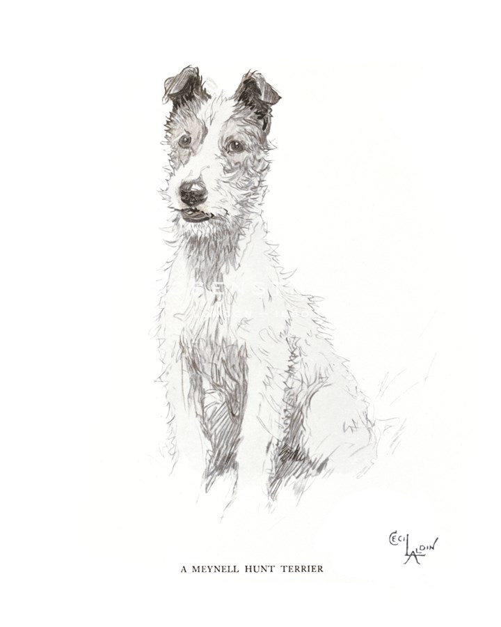 Cecil Aldin Hand Numbered Limited Edition Print on Paper :"Meynell Hunt ...