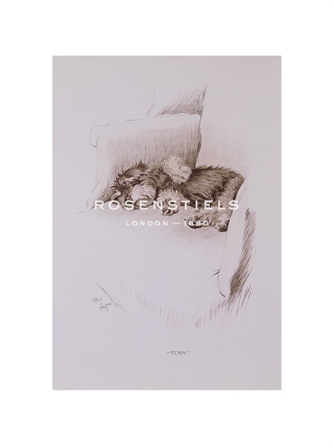 Cecil Aldin Hand Numbered Limited Edition Print on Paper :"Turps ...